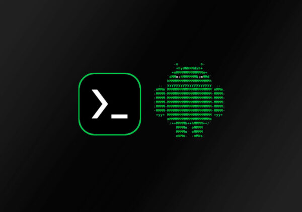 Termux En Android, Guía Sencilla Para Instalar Y Aprovechar La Terminal ...
